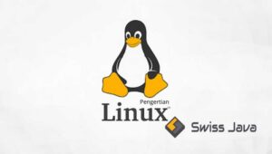 Pengertian Linux Beserta Penjelasan Lengkapnya