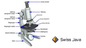 Gambar Mikroskop dan 6 Jenisnya yang Harus Kamu Tahu