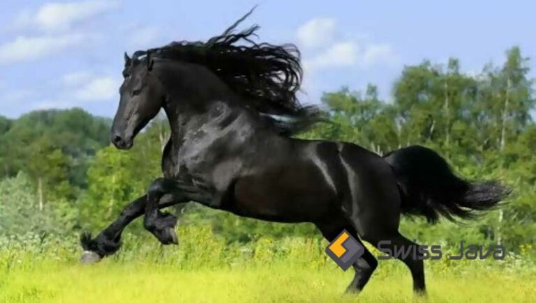 Kuda Hitam Artinya dan Contoh Kalimat yang Harus Kamu Tahu