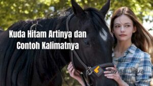 Kuda Hitam Artinya dan Contoh Kalimat yang Harus Kamu Tahu