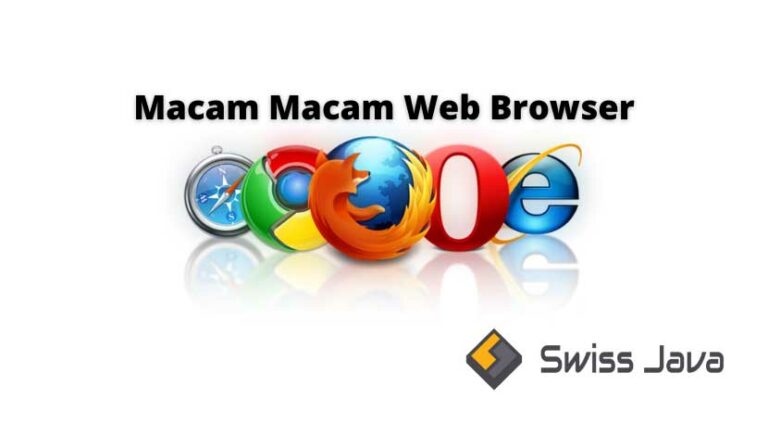 Macam Macam Web Browser, Fungsi, dan Cara Menggunakannya