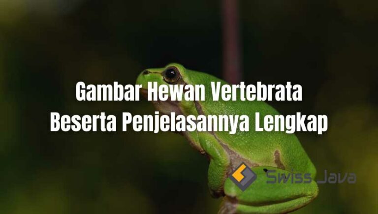 Gambar Hewan Vertebrata Beserta Penjelasannya Lengkap