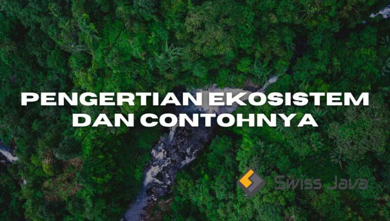 Pengertian Ekosistem dan Contohnya Terbaru 2024
